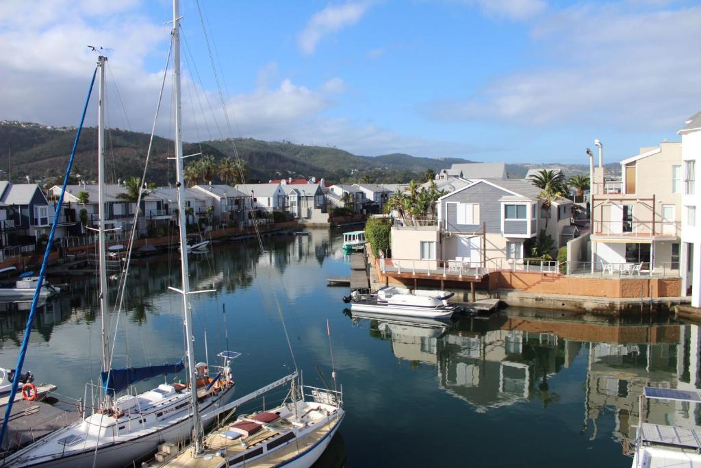 Top 10 Things to do in Knysna: Exploring the Wonders