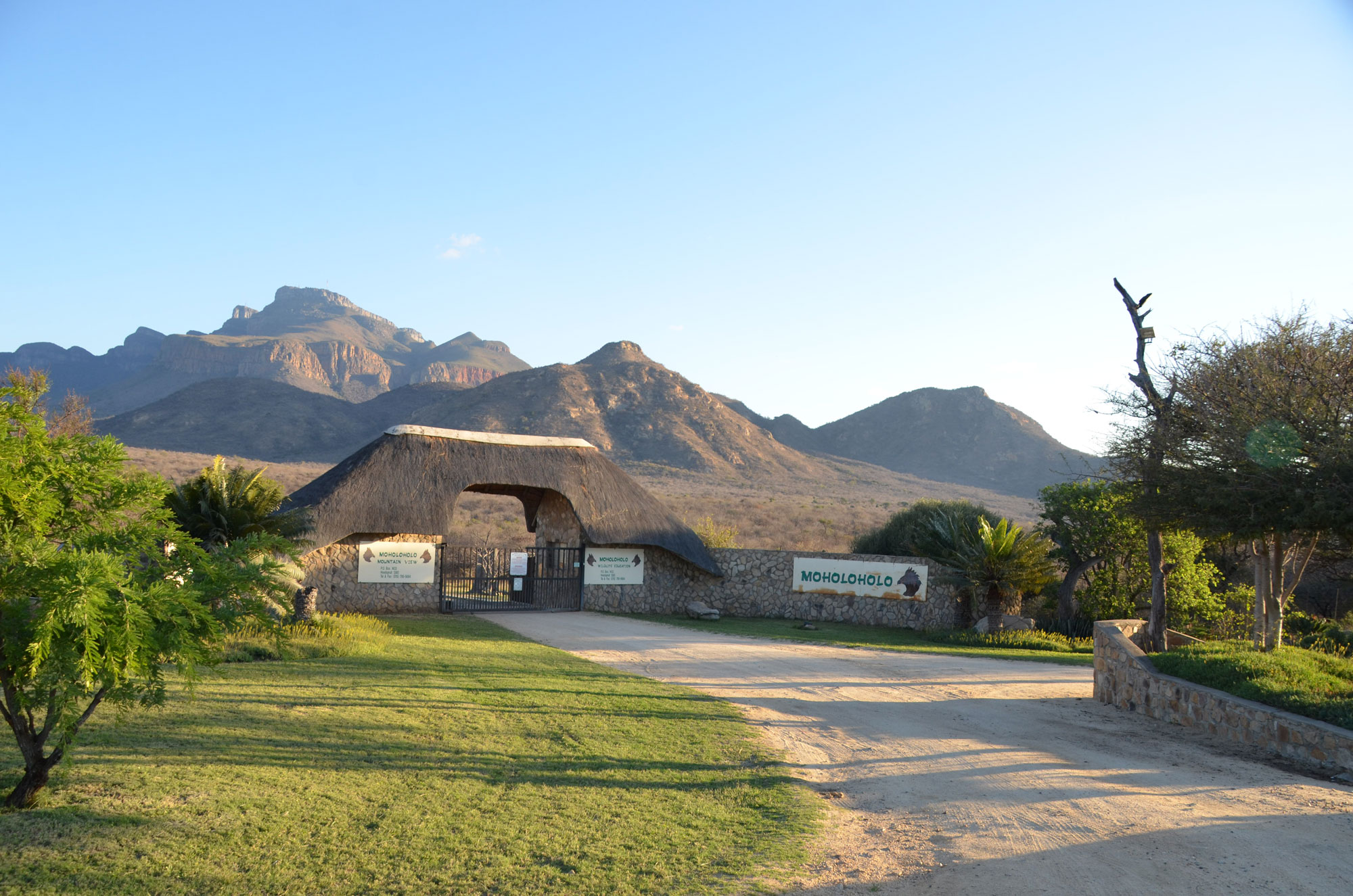 Things to Do in Hoedspruit: Game Parks and Reserves